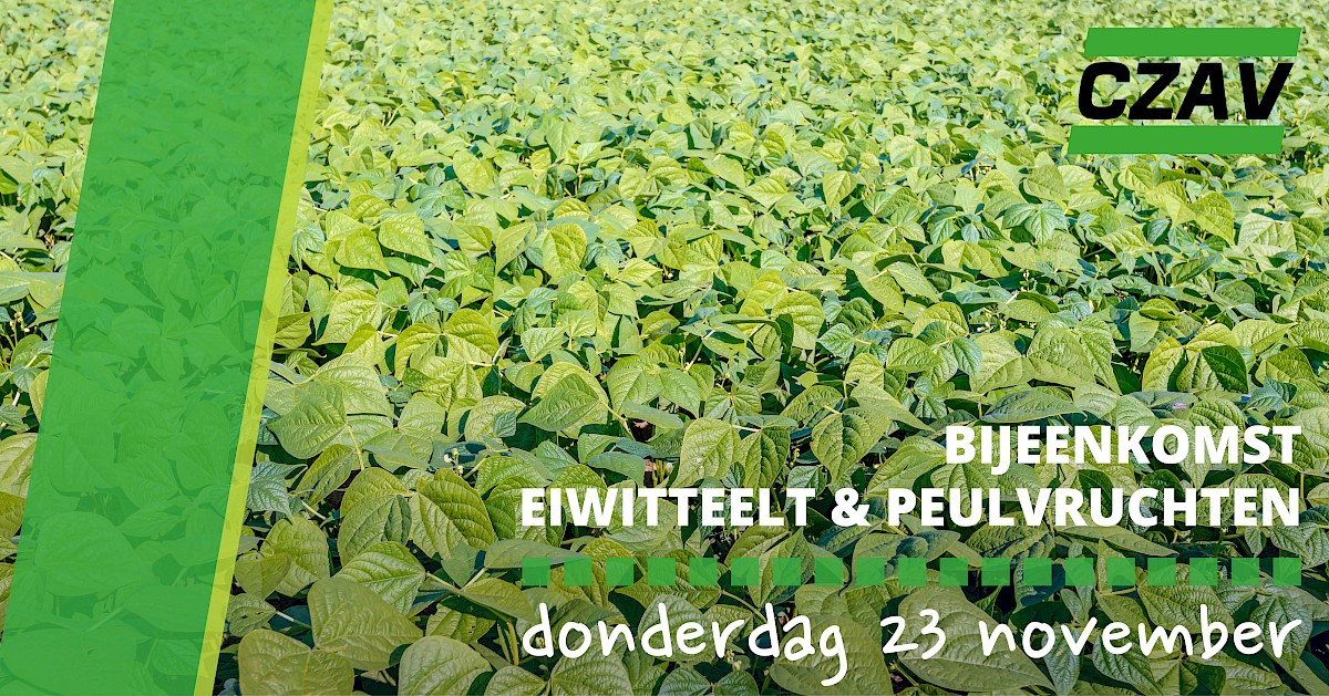 CZAV Eiwitteelt en Peulvruchten | Landbouwagenda | De agenda voor ...