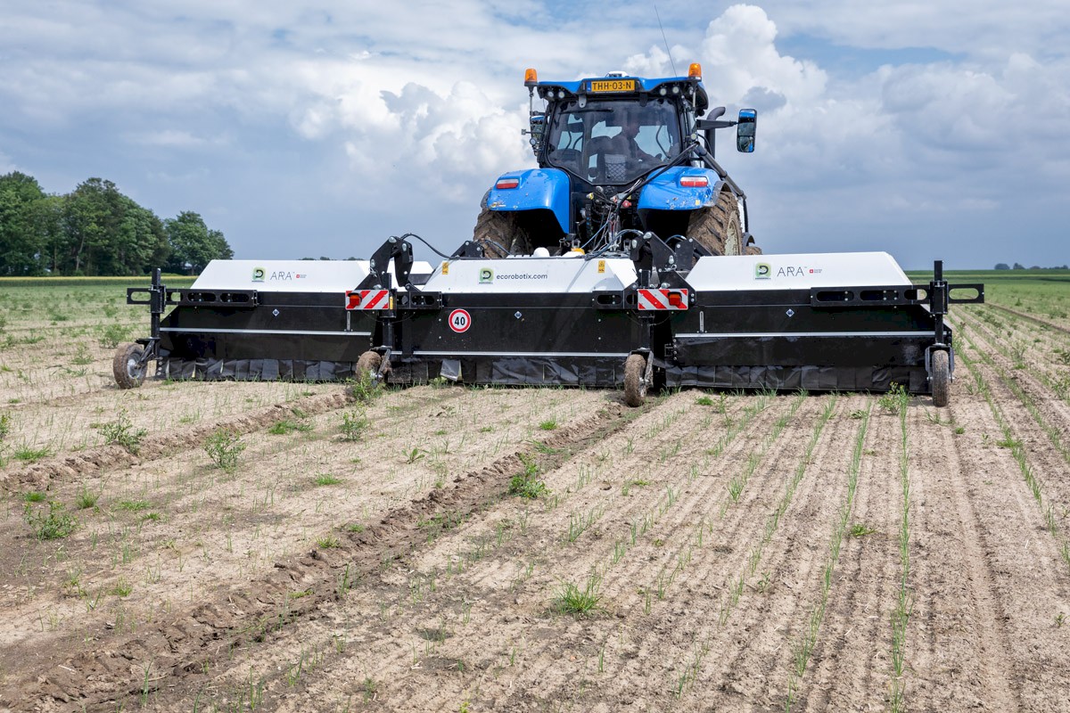 Aanpak ridderzuring in grasland: van drone tot spotsprayer ...